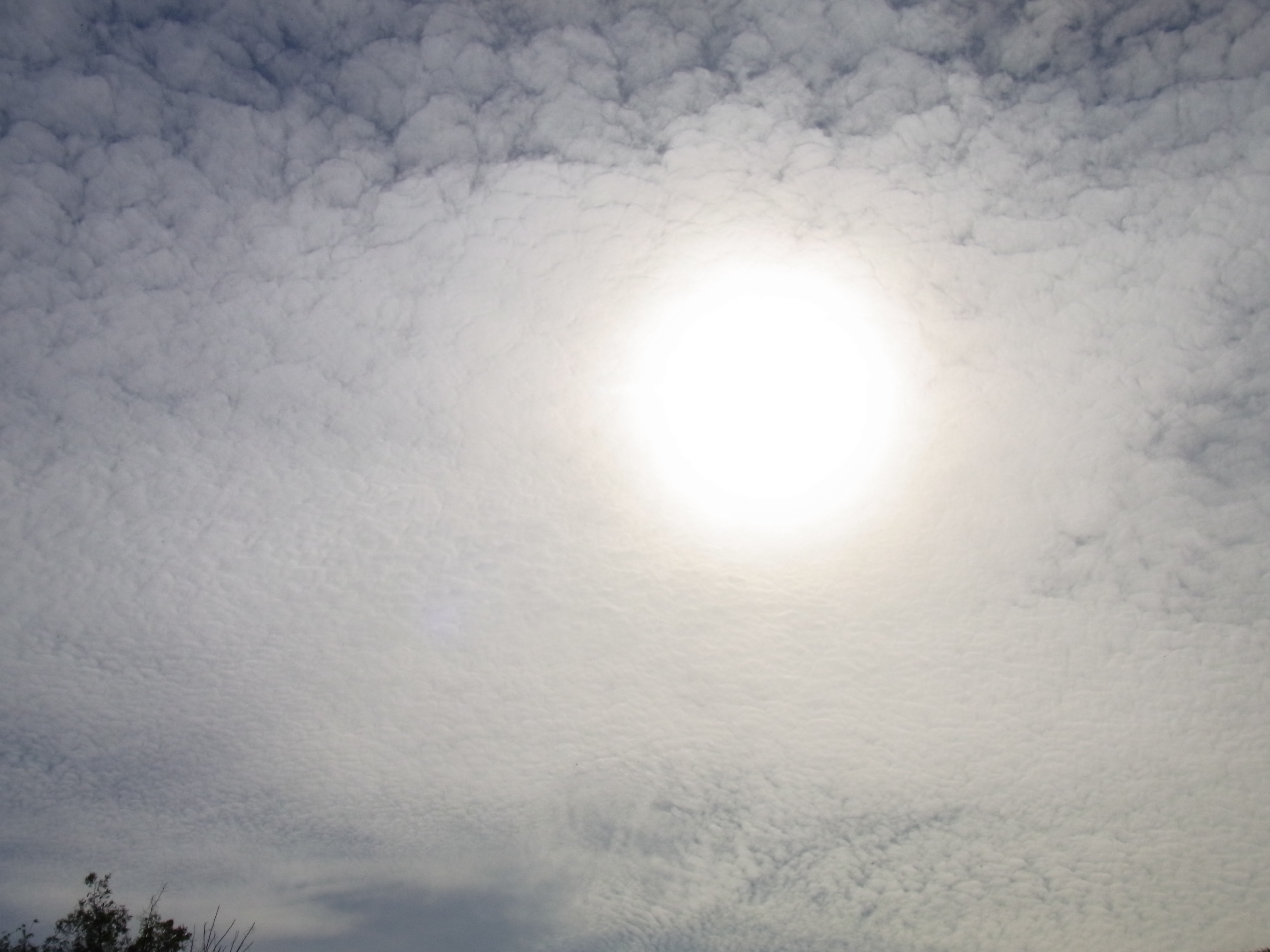 Aureole - Institute for Professional Weather Education