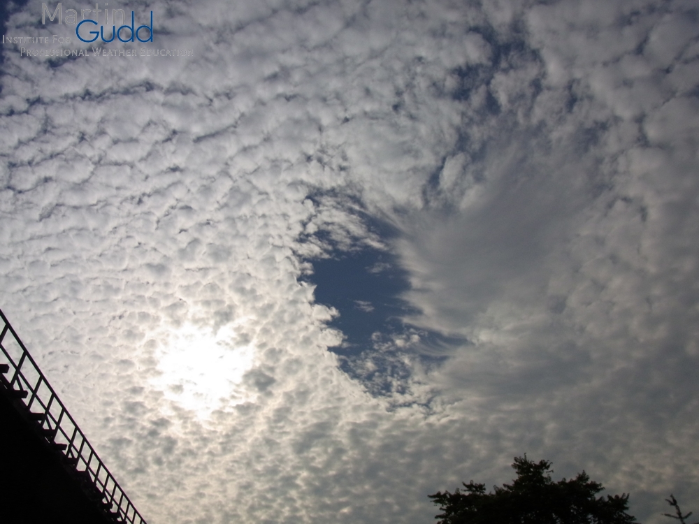 Altocumulus stratiformis (Ac str) - Institute for Professional Weather ...